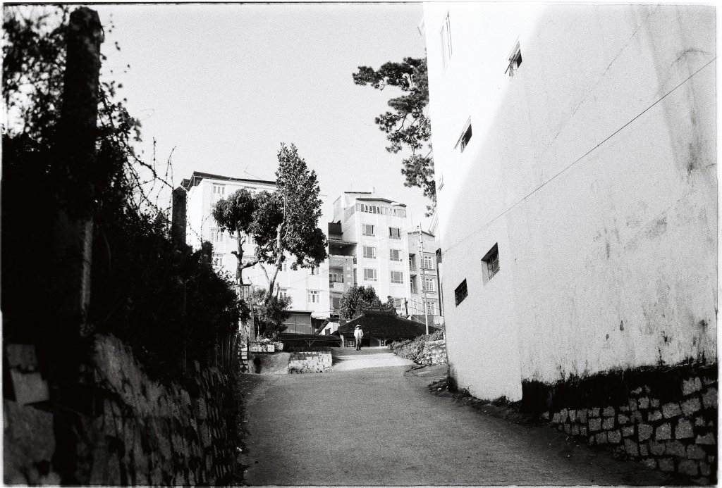 [Funland] - Film - Never die, không bao giờ chết :) | Page 6 | OTOFUN ...